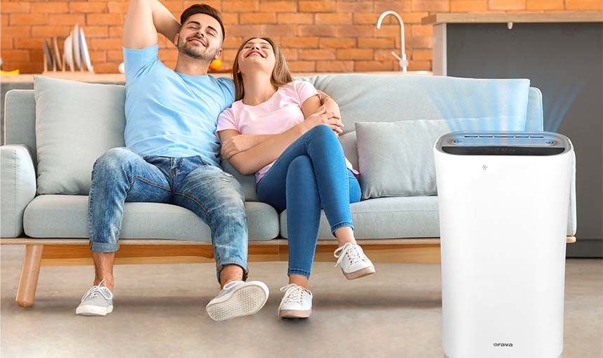 Air purifier against molds and pathogens